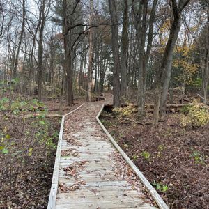 BUCKMASTER POND - Updated November 2024 - 12 Photos - 350 Pond St ...