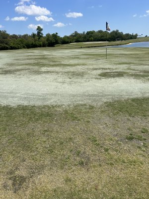 PATRIOTS POINT GOLF COURSE - Updated July 2025 - 36 Photos & 65 Reviews ...