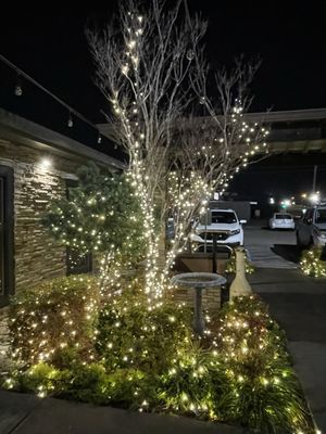 CAFE 615 HOME OF DA WABBIT - Updated December 2025 - 246 Photos & 223 ...