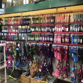 TEHACHAPI PET LODGE & OUTFITTERS - Updated June 2025 - 48 Photos & 21 Reviews - 20693 Woodford ...