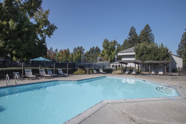 PARK RIDGE APARTMENT HOMES - Updated January 2026 - 147 Photos & 83 ...