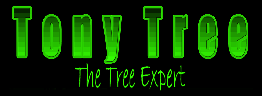 TONY TREE THE TREE EXPERT - Updated November 2024 - Beaumont, Texas ...