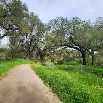WHITING RANCH WILDERNESS PARK - Updated April 2025 - 899 Photos & 193 ...
