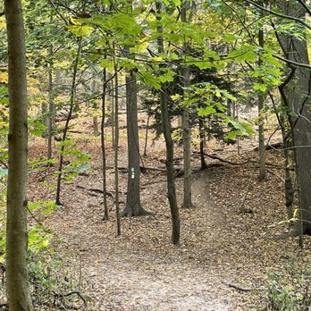 COLD SPRING HARBOR STATE PARK - Updated January 2026 - 263 Photos & 68 ...