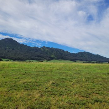 KIPU RANCH ADVENTURES - Updated December 2024 - 1737 Photos & 1541 ...