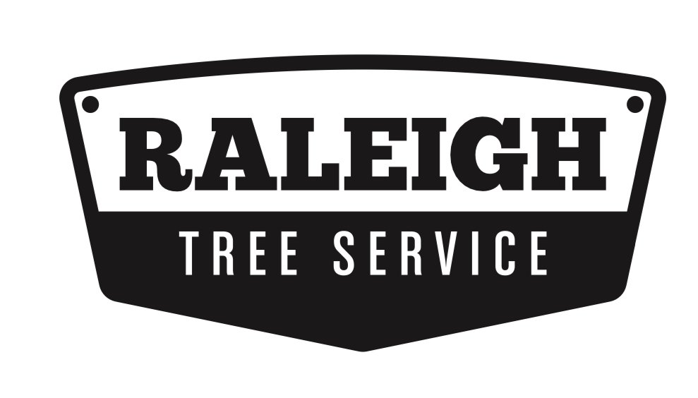 RALEIGH TREE SERVICE - Updated August 2025 - 5300 Atlantic Ave, Raleigh ...