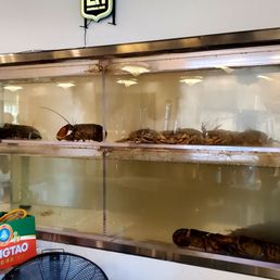 DIAMOND PALACE - Updated December 2025 - 1690 Photos & 581 Reviews ...