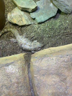 BLUE ZOO - Updated January 2026 - 149 Photos & 31 Reviews - 6401 ...