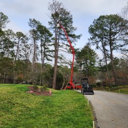 Best Tree Services Near Me - June 2025: Find Nearby Tree Services ...