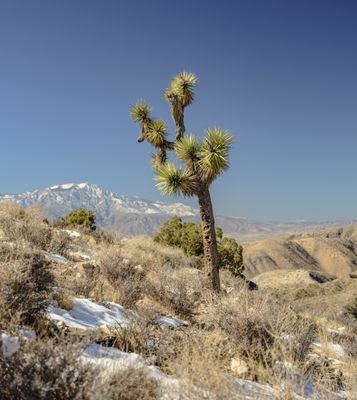 KEYS VIEW - Updated 05/2025 - 345 Photos & 27 Reviews - Joshua Tree's ...