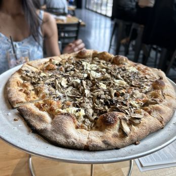 TRILLIUM - CANTON - Updated April 2025 - 587 Photos & 415 Reviews - 100 ...