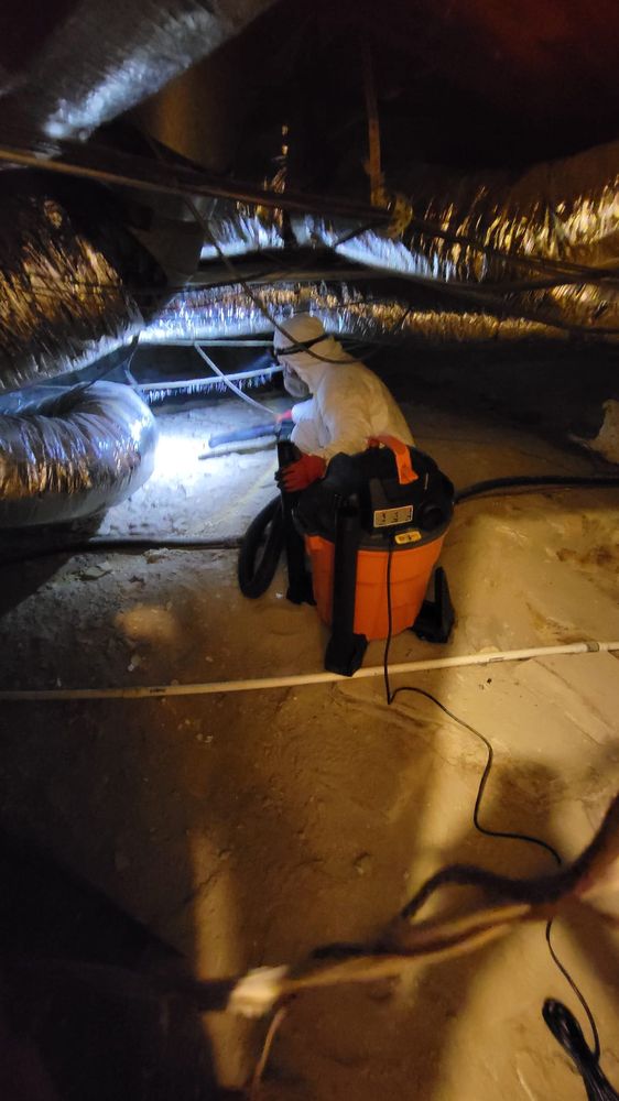 RODENT HUNTERS - Updated September 2024 - 11835 W Olympic Blvd, Los ...