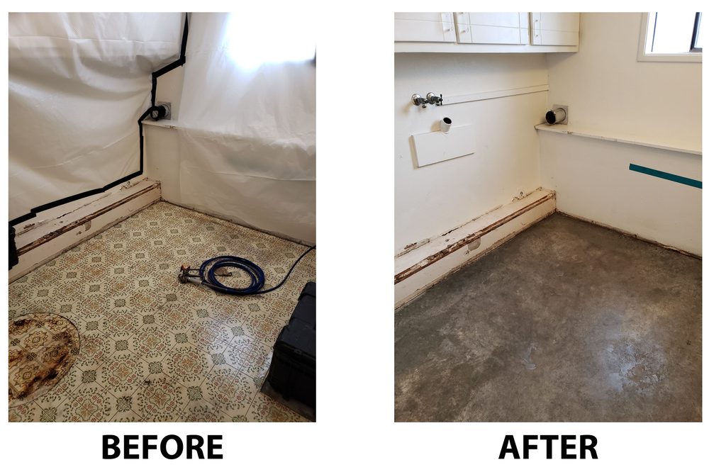 DK ENVIRONMENTAL - Updated January 2025 - 14 Photos - Marysville, Washington - Damage ...