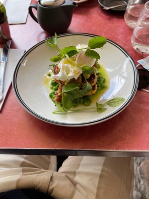 BARBETTA - Updated May 2025 - 13 Photos - 2/8 Elizabeth Pl, Paddington ...