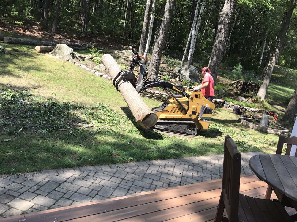 TODDS TREE SERVICE - Updated July 2025 - 855 Hanover St, Manchester ...