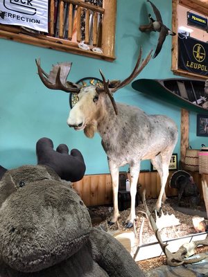 LL COTE - Updated June 2025 - 16 Photos & 16 Reviews - 25 Main St ...