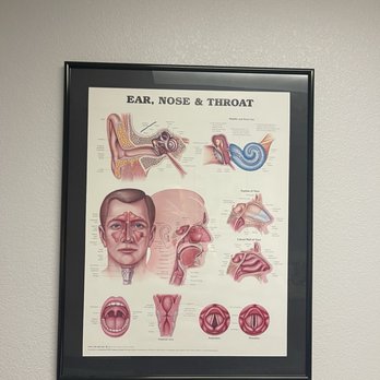 VALLEY ENT - Updated December 2025 - 13 Photos & 55 Reviews - 3501 N ...