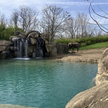 INDIANAPOLIS ZOO - Updated September 2024 - 2237 Photos & 443 Reviews ...