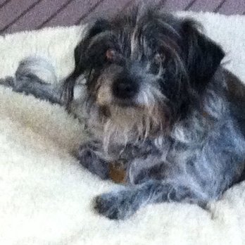 FOOTHILL RANCH COMMUNITY PARK - Updated October 2025 - 105 Photos & 14 ...