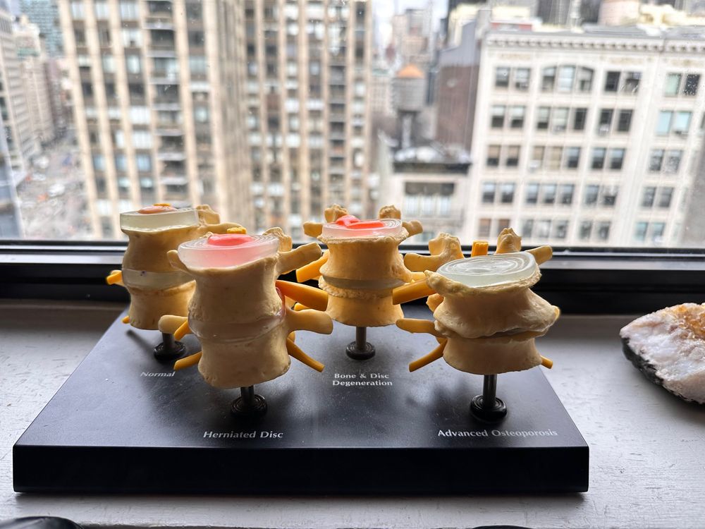 THE KAISER BACK INSTITUTE - Updated March 2025 - 14 Photos & 22 Reviews ...