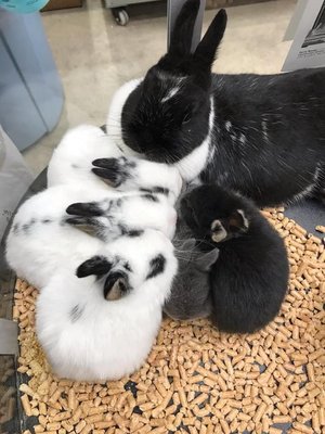 IFA COUNTRY STORE - LOGAN - Updated January 2026 - 29 Photos - 2250 N ...