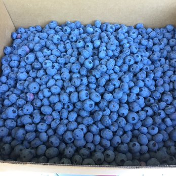 BYBEE FARMS - Updated August 2025 - 51 Photos & 27 Reviews - 42930 SE ...