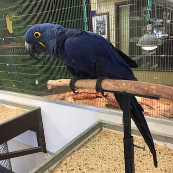 MAGNOLIA BIRD FARM - Updated August 2024 - 134 Photos & 177 Reviews ...