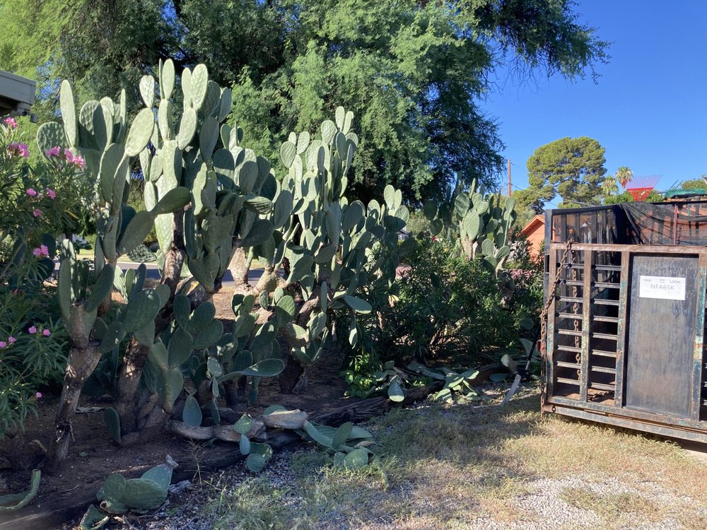 ALAN LANDSCAPING - Updated May 2024 - Tucson, Arizona - Landscaping ...