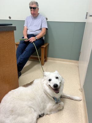 CLOCKTOWER ANIMAL HOSPITAL - Updated October 2025 - 48 Photos & 238 ...