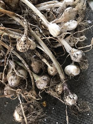 FARM BLOOMINGTON - Updated December 2025 - 727 Photos & 845 Reviews ...