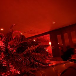 AT RANDOM - Updated July 2025 - 250 Photos & 271 Reviews - 2501 S ...