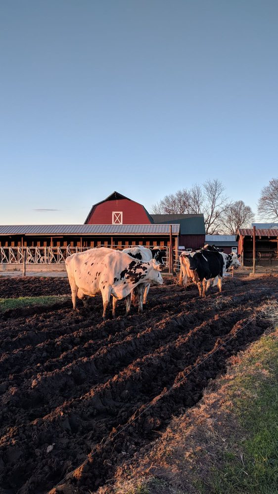 FLAYVORS OF COOK FARM - 128 Photos & 143 Reviews - 129 S Maple St ...