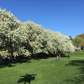 LYNDALE PARK ROSE GARDEN - 163 Photos & 23 Reviews - 4124 Roseway Rd ...