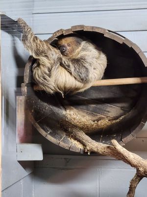 ALOHA SAFARI PARK - Updated August 2025 - 401 Photos & 180 Reviews ...