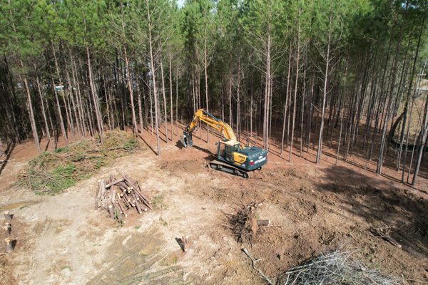 WHACK’EM & STACK’EM - Updated February 2026 - 23 Photos & 19 Reviews - 1329 Hwy 61, Ridgeville ...