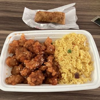 PANDA GARDEN - Updated January 2026 - 17 Reviews - 2801 W Kingshighway ...