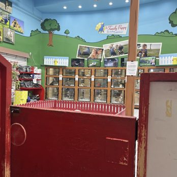 THE FAMILY PUPPY - Updated October 2025 - 79 Photos & 27 Reviews - 528 ...