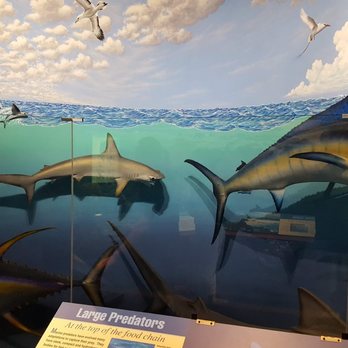 LYMAN MUSEUM - Updated May 2024 - 111 Photos & 41 Reviews - 276 Haili ...