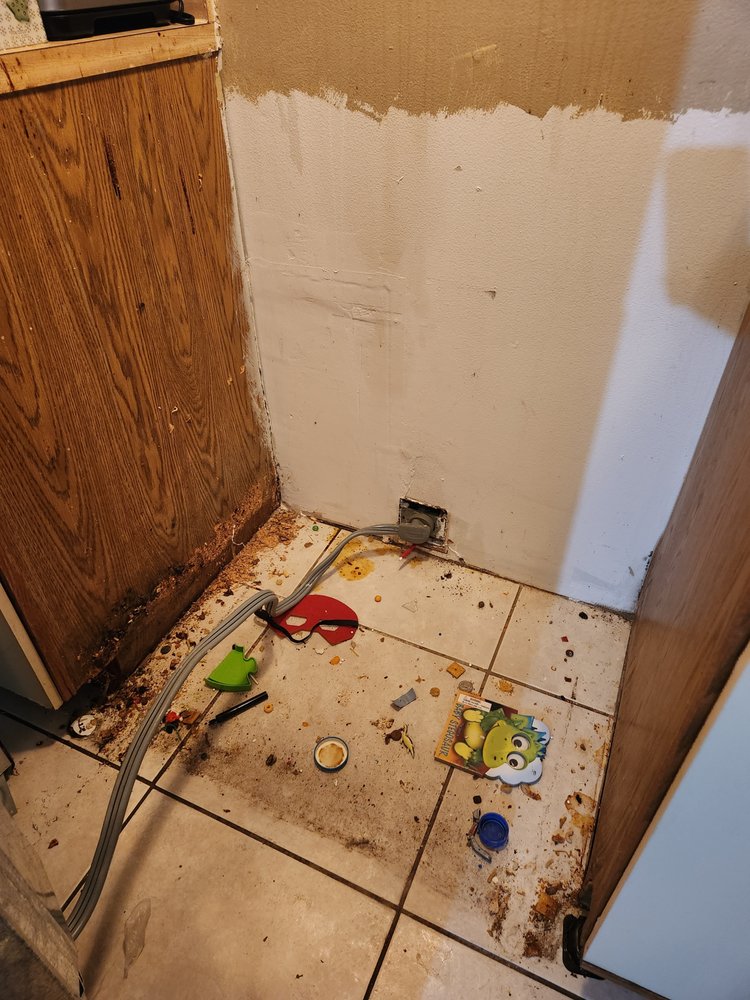 Right Choice Cleaning Company - Trusted Since 2023 - Updated July 2025 - 28 Photos - 737 ...