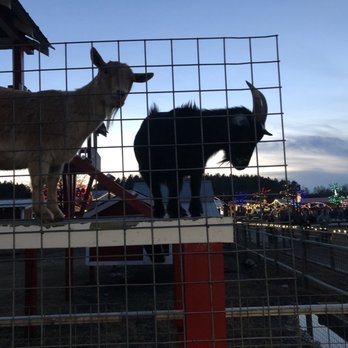 HILL RIDGE FARMS - 161 Photos & 51 Reviews - 703 Tarboro Rd ...