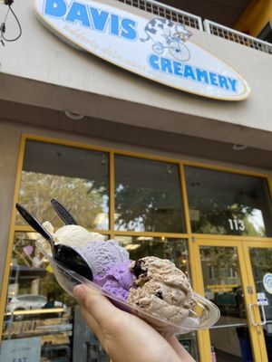 DAVIS CREAMERY - Updated April 2025 - 380 Photos & 404 Reviews - 113 E ...