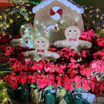 BREA CHRISTMAS LIGHT NEIGHBORHOOD - Updated December 2024 - 1301 Photos ...