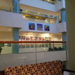 MEDSTAR NATIONAL REHABILITATION NETWORK - 10 Photos & 37 Reviews - 102 ...