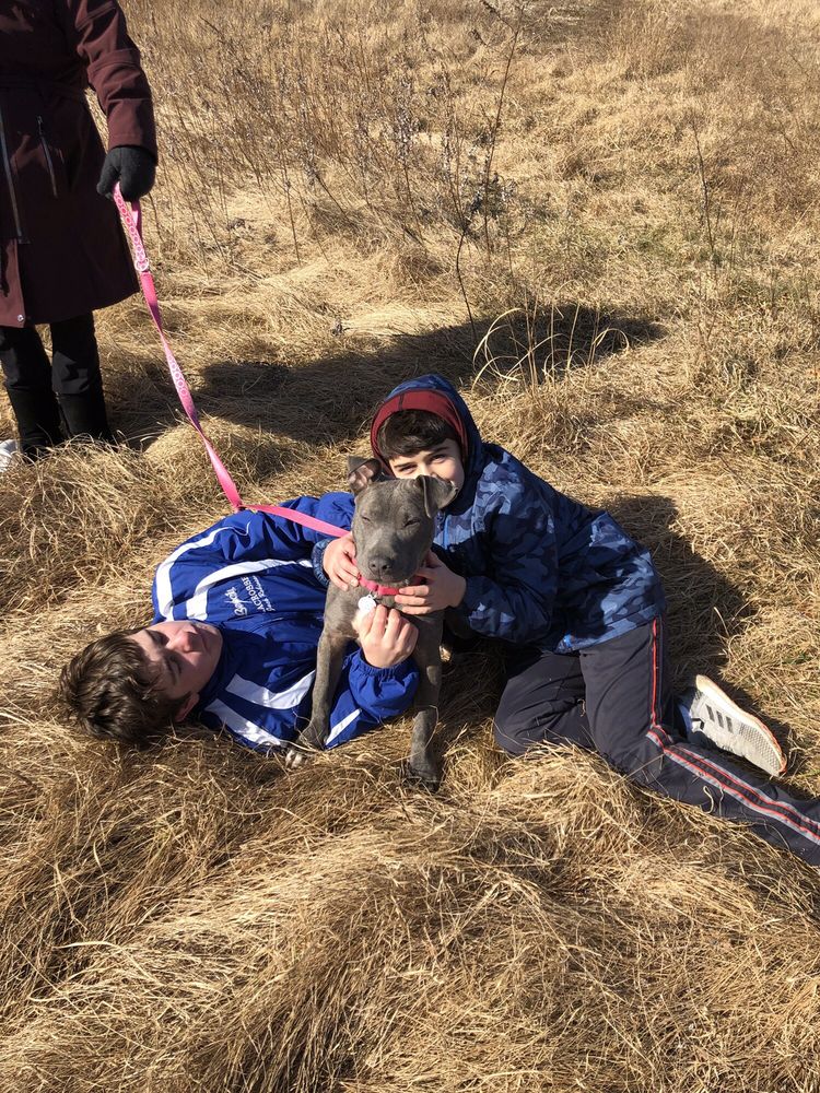 ALMOST HOME ANIMAL RESCUE AND ADOPTION - 10 Photos & 10 Reviews ...