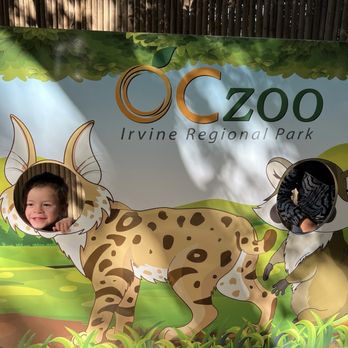 ORANGE COUNTY ZOO - Updated May 2025 - 1416 Photos & 400 Reviews - 1 ...