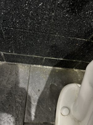 LEGENDS BARBELL - Updated May 2025 - 29 Photos & 70 Reviews - 15321 ...