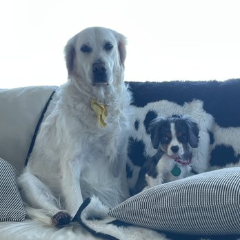 COTATI SMALL ANIMAL HOSPITAL - Updated January 2026 - 41 Reviews - 8055 ...