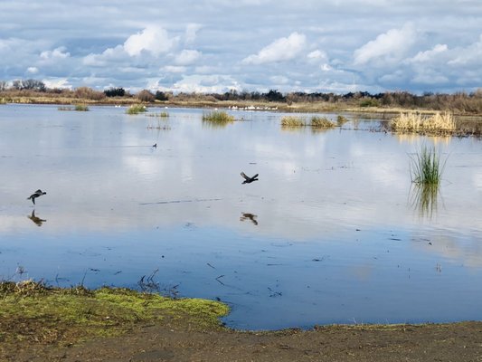 SAN JOAQUIN WILDLIFE REFUGE NATURE TRAIL - Updated August 2025 - 60 ...