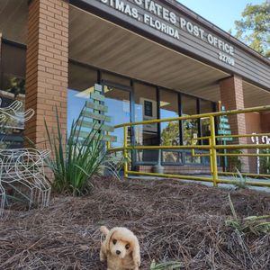 USPS - Updated April 2025 - 32 Reviews - 10401 Post Office Blvd ...