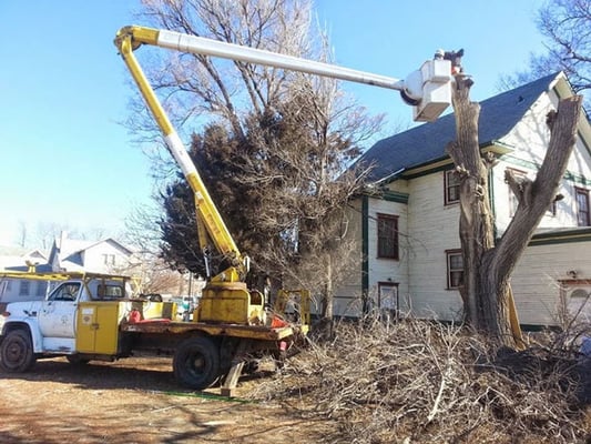 TREE SERVICES OF OMAHA - Updated September 2025 - 30 Photos & 21 ...